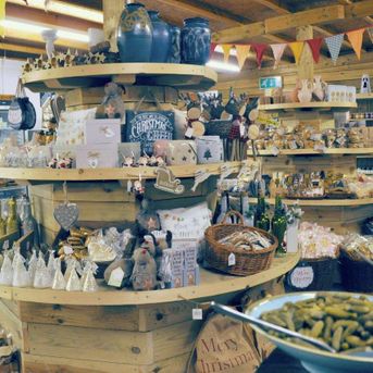 Farm Shop, Organic Produce| Bovey Tracey, Newton Abbot