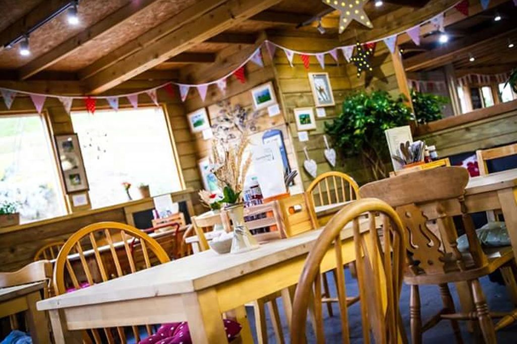 Farm, Café | Bovey Tracey, Newton Abbot - Ullacombe Farm
